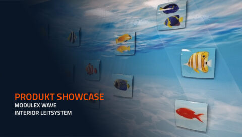 Produkt Showcase: Modulex Wave - Leadway